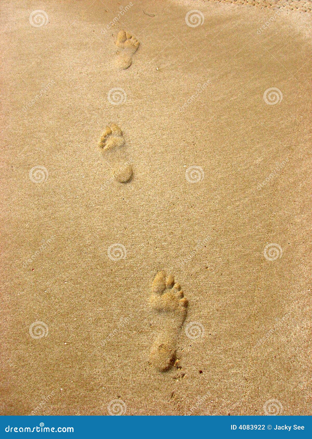 Foot Steps Royalty-Free Stock Photography | CartoonDealer.com #14765111