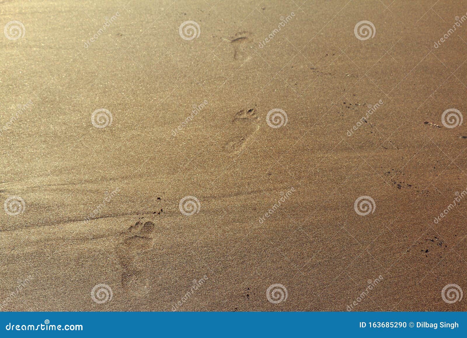 Foot steps in beach sand stock photo. Image of foot - 163685290