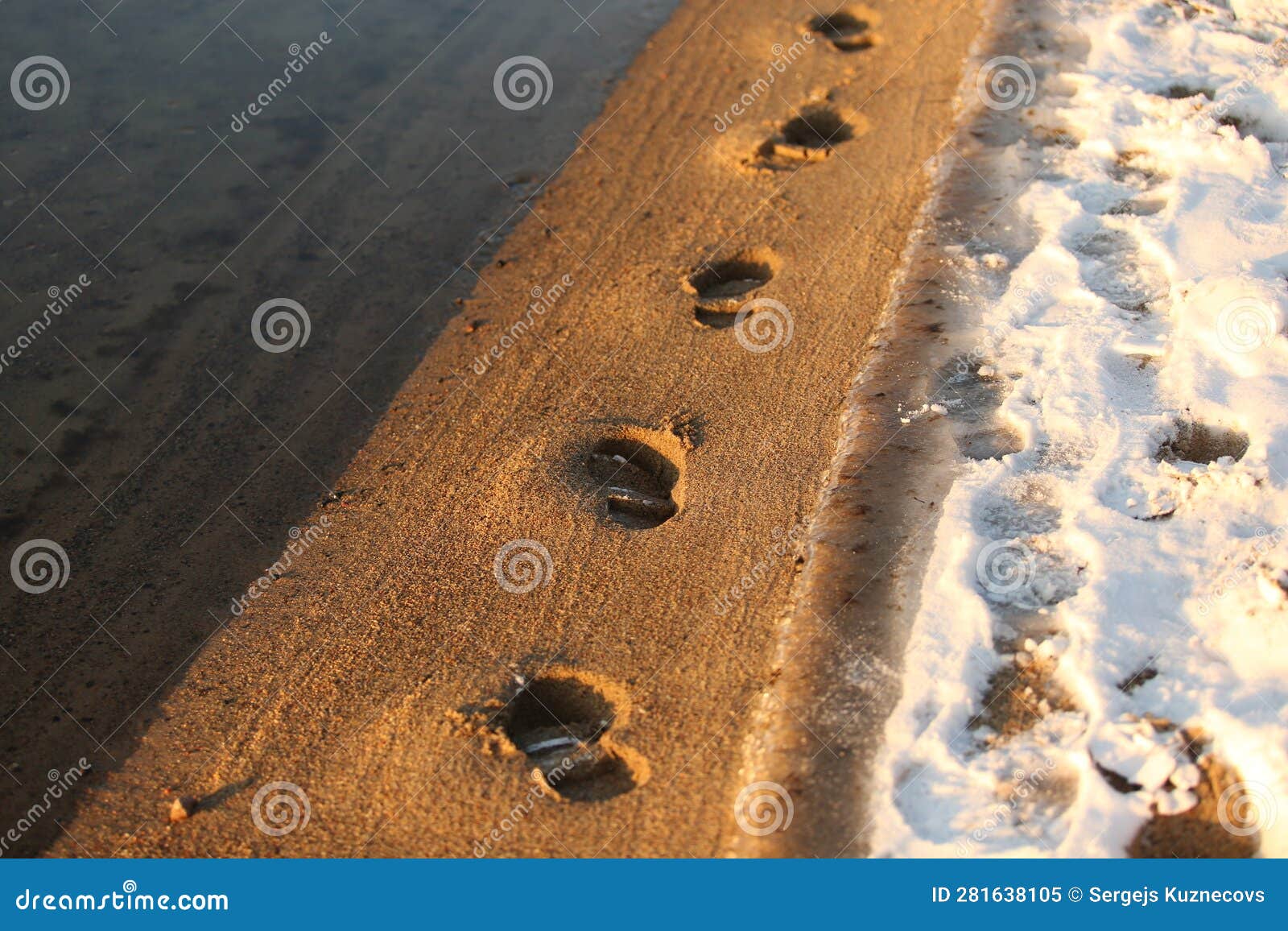 Foot Steps on Beach at Winter Time Stock Image - Image of steps, winter ...