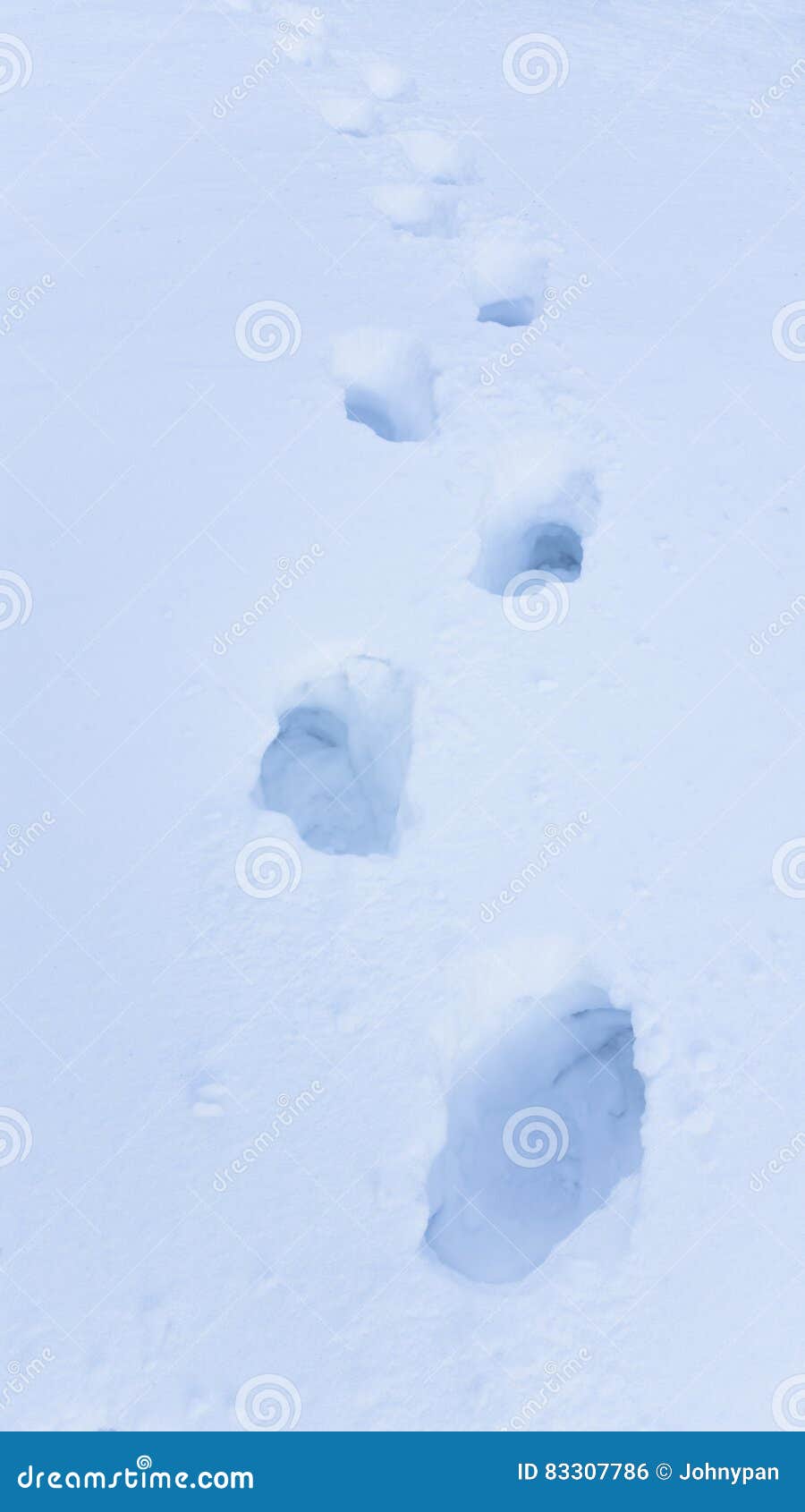 Foot steps in big snow stock photo. Image of steps, white - 83307786