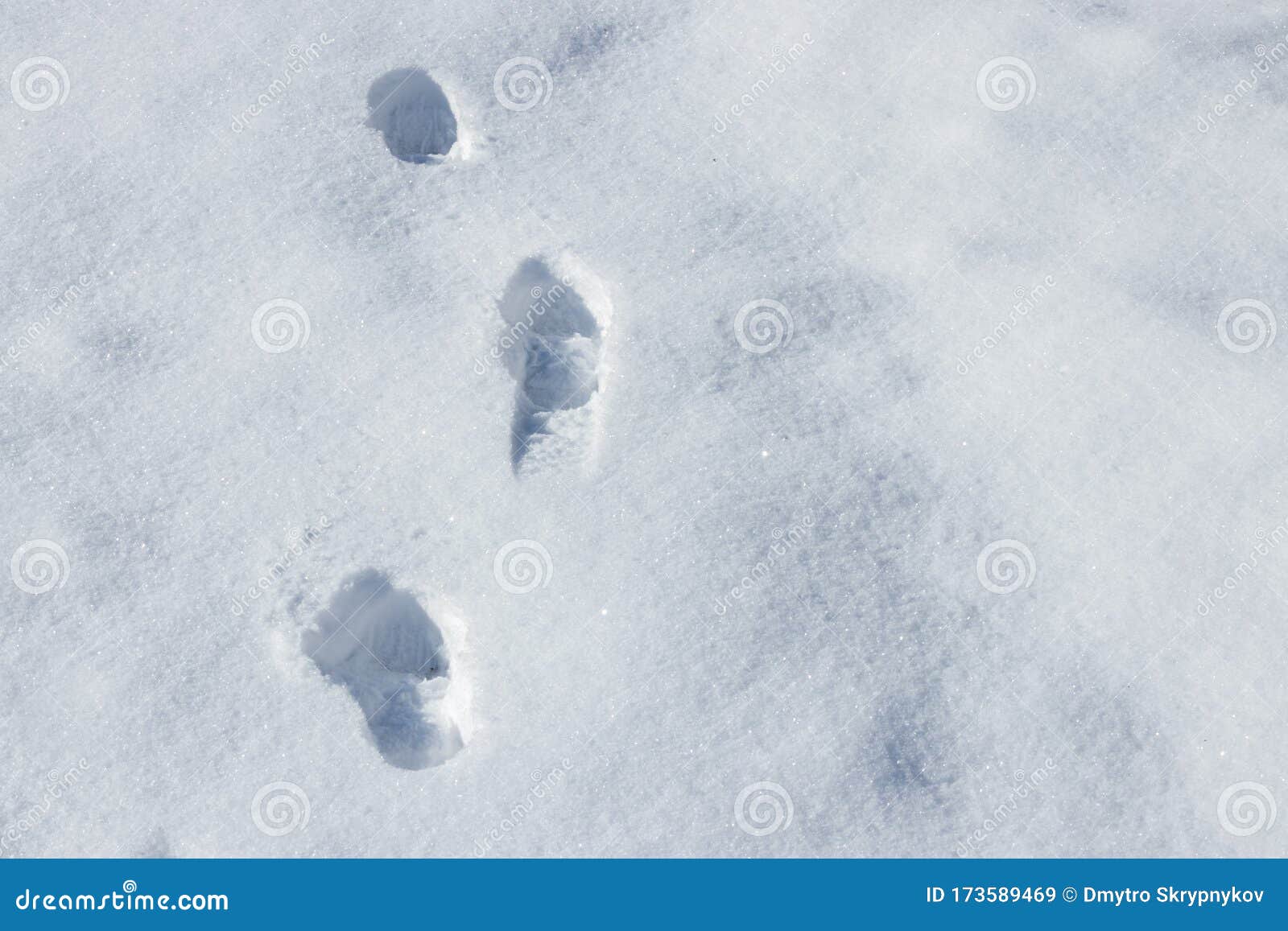 Foot Steps in the Fresh Snow Stock Image - Image of outdoors, step ...