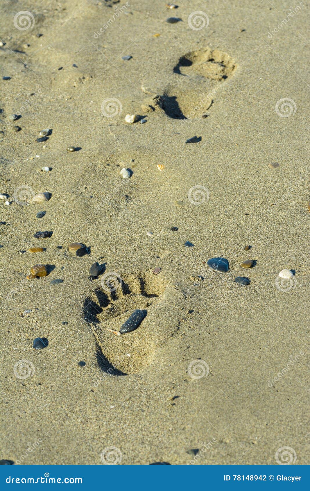 Foot steps in the sand stock photo. Image of closeup - 78148942