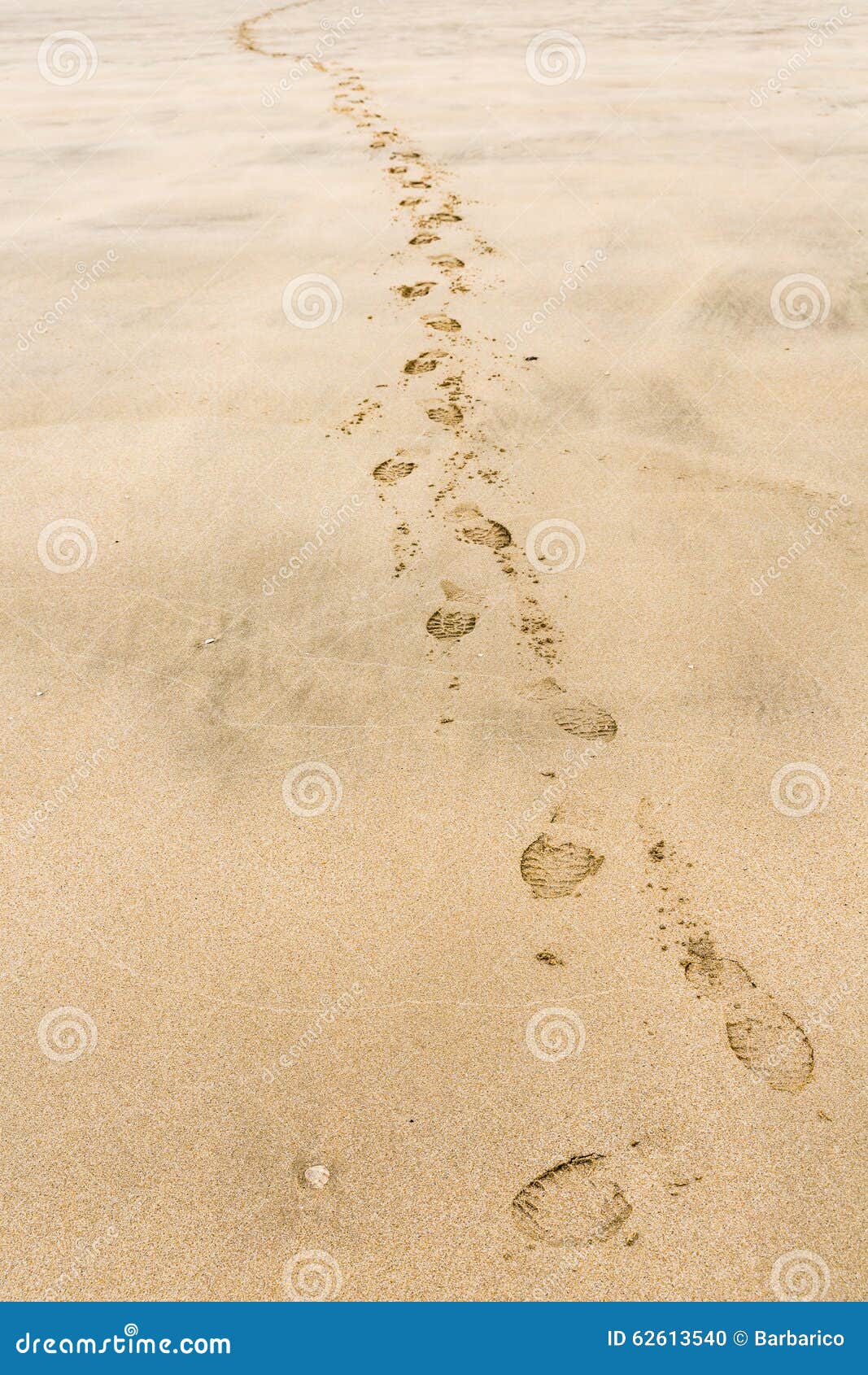 Foot steps in sand stock photo. Image of steps, sand - 62613540