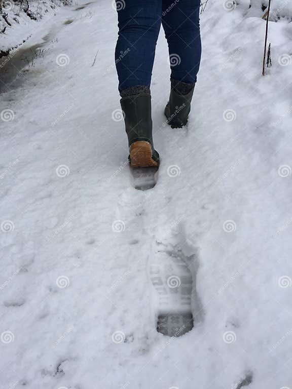 Foot steps stock photo. Image of moving, winter, space - 140899390