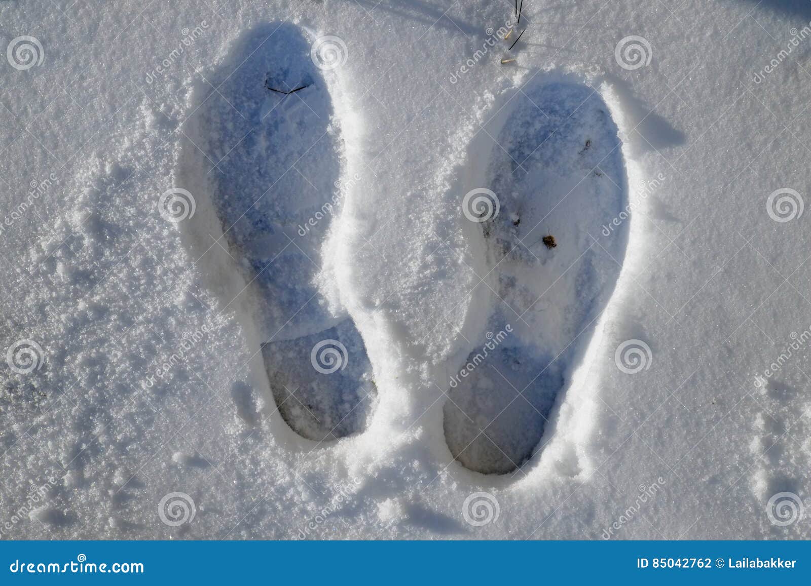Foot Steps on Snow Ground on a Fresh Snowy Day of Winter Stock Photo ...