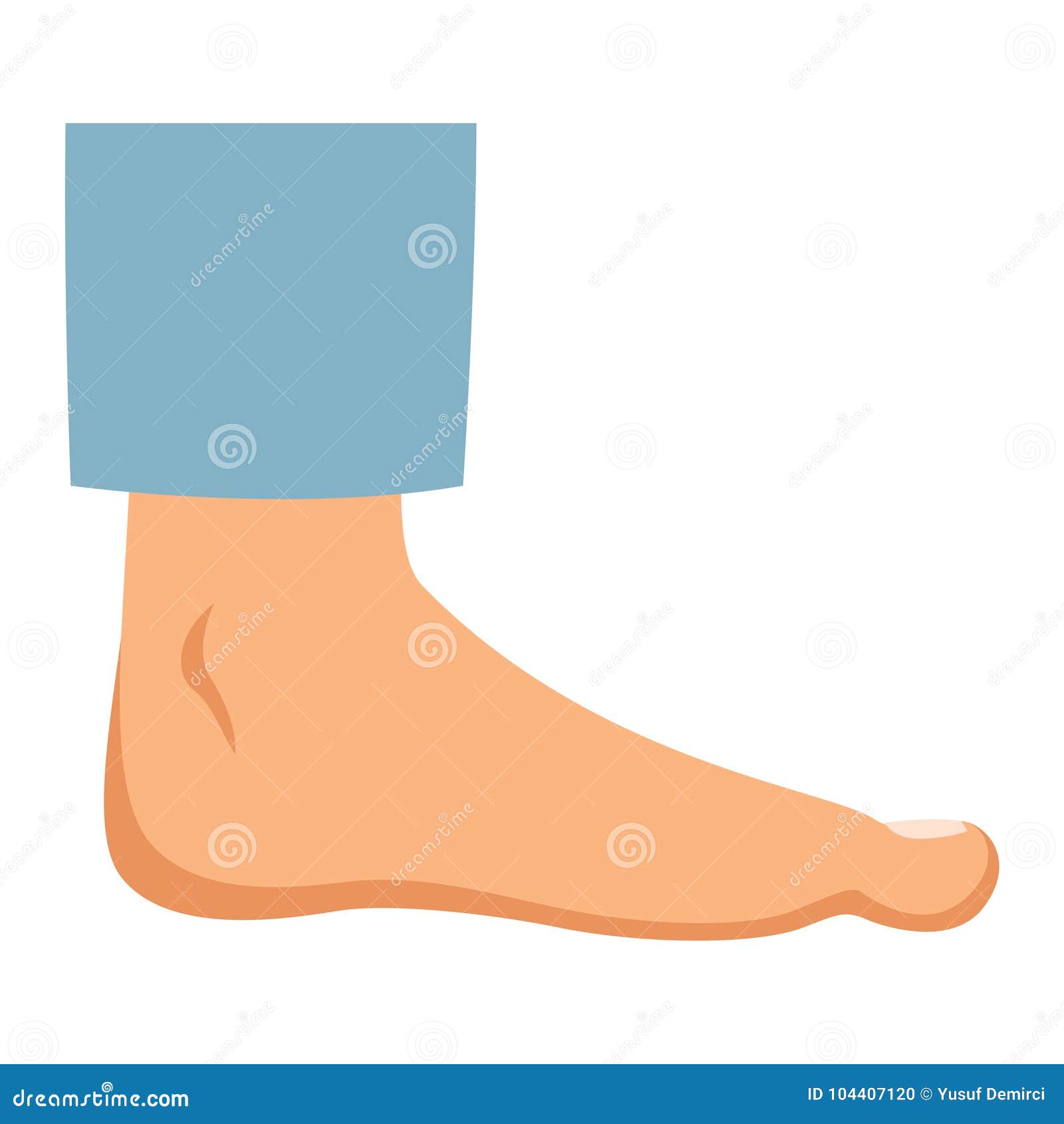 Foot Vector Illustration stock vector. Illustration of parts - 104407120
