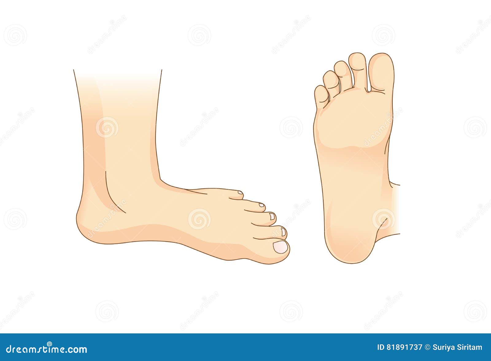 Foot Side View Icon. Trendy Flat Vector Foot Side View Icon On W ...