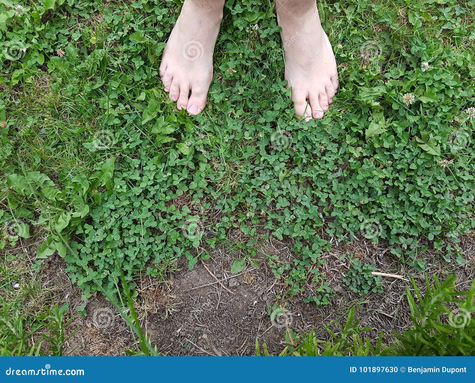 Foot view editorial image. Image of vegetal, protect - 101897630