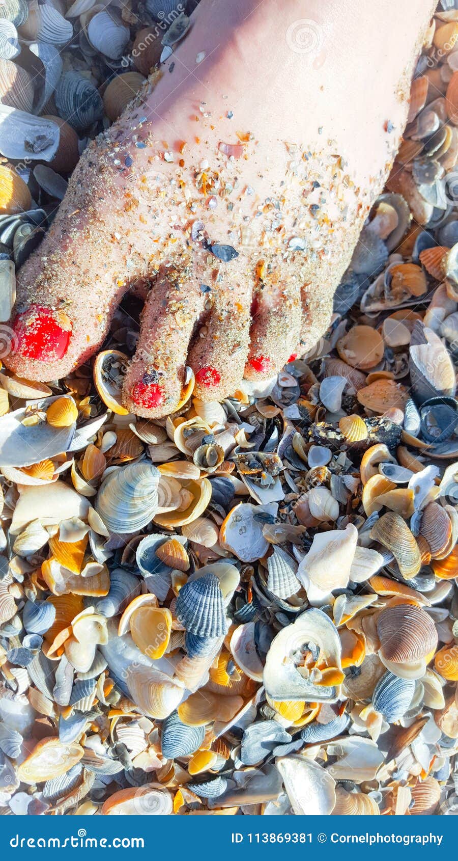 The Foot of a Young Lady in the Shells on the Beach Stock Image - Image ...