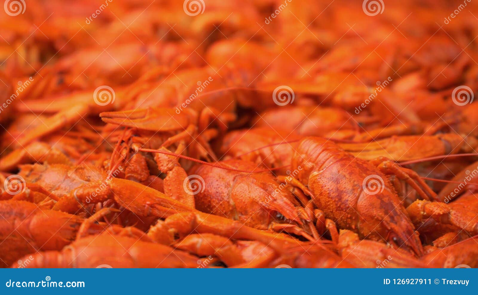 Footage Red Boiled Crawfish Closeup Rotate on a Tray. Stock Video ...