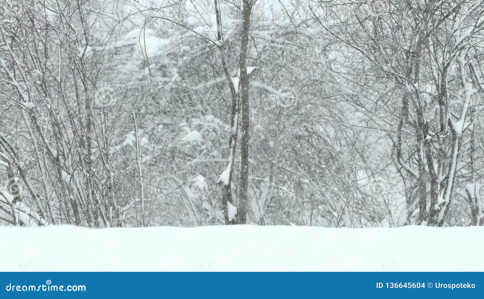 Footage of Snow, Falling Down in a Field Stock Footage - Video of storm ...