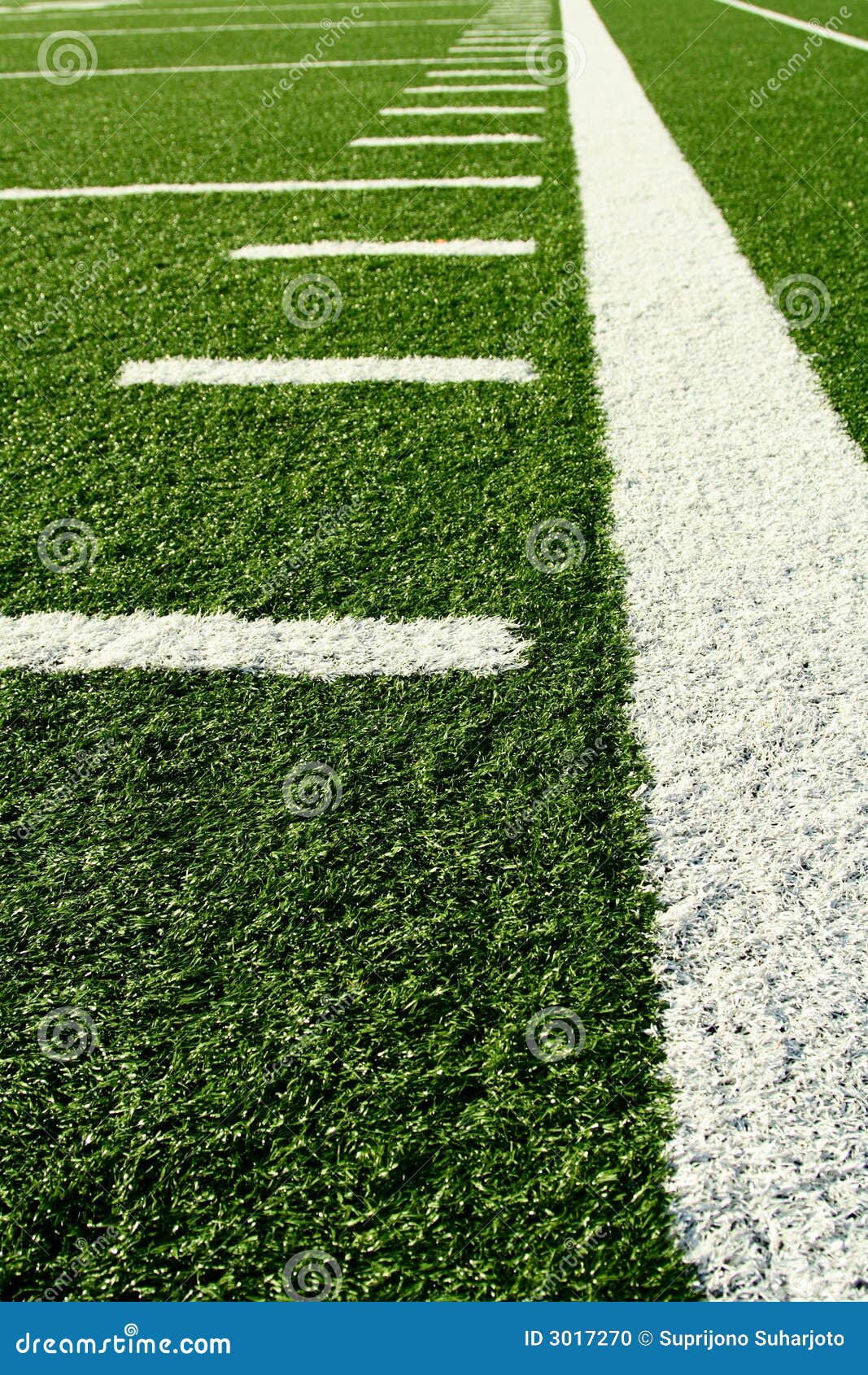 Football field stock photo. Image of multipurpose, green - 3017270
