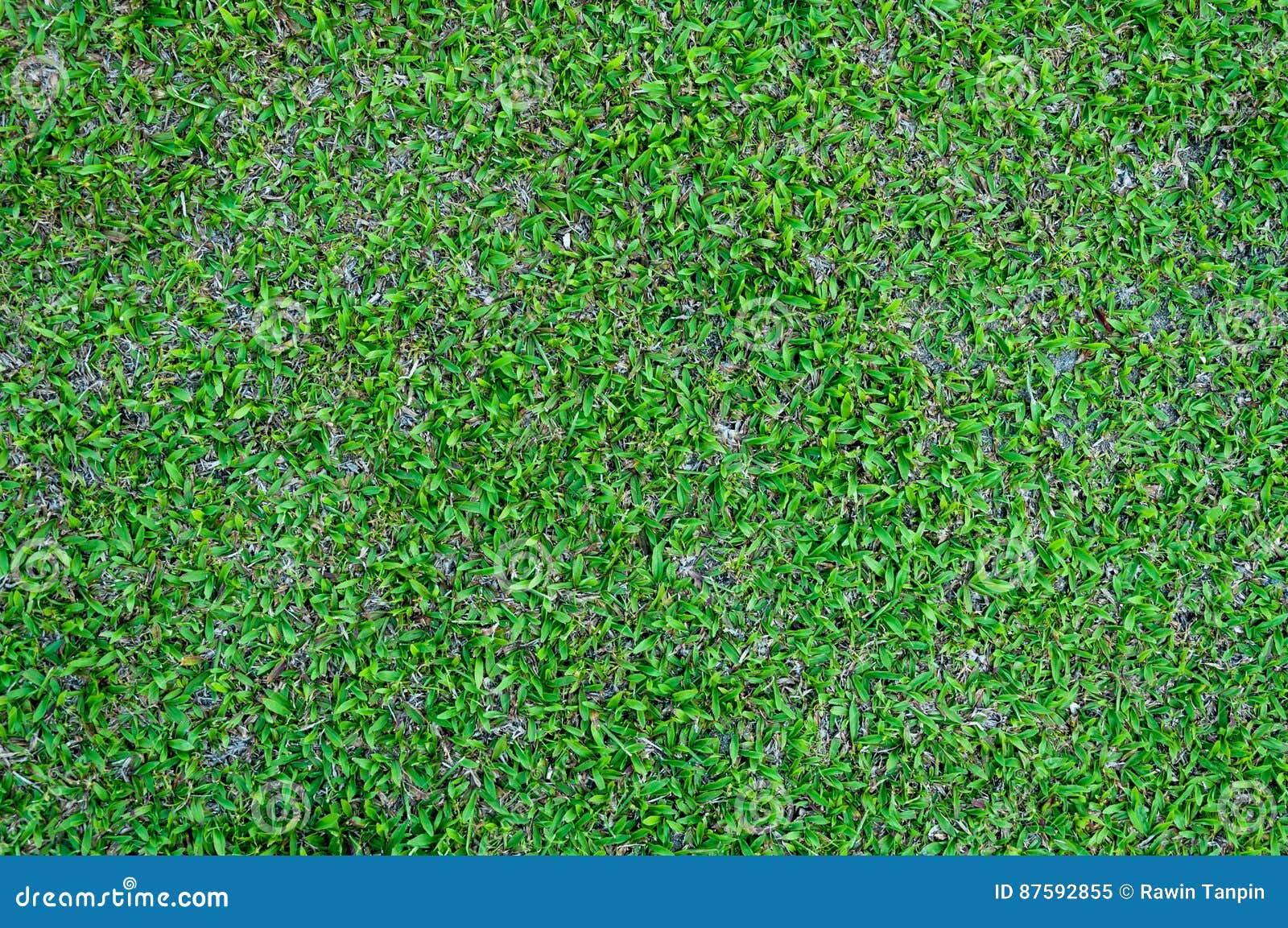 Football Field Green Grass Pattern Textured Background Stock Image ...