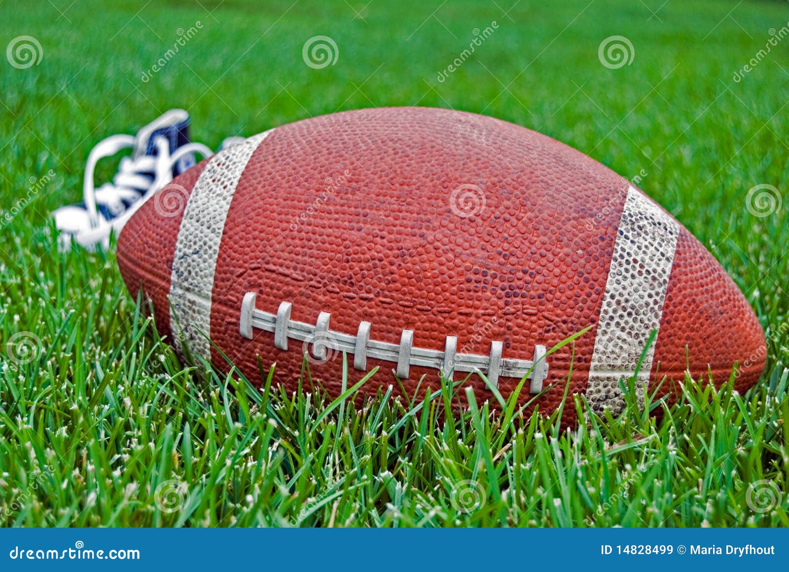 Football Fun stock image. Image of green, sport, football - 14828499