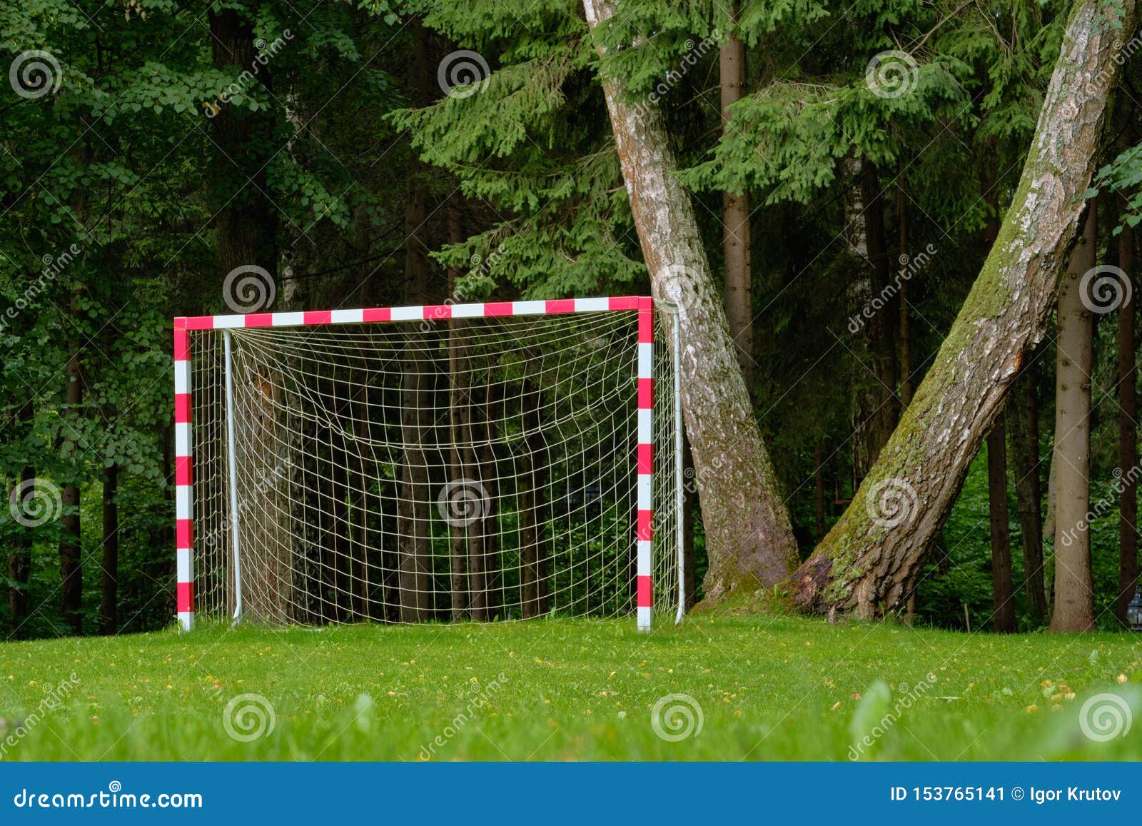 Football Goal in the Forest of Red Stock Image - Image of forest ...