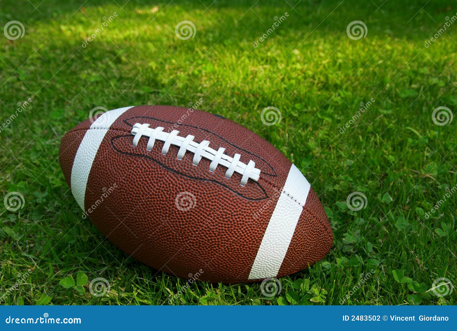 Football on grass stock photo. Image of lawn, amusement - 2483502