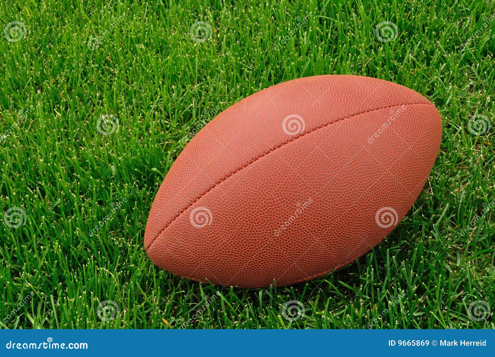 Football on a Grass Playing Field Stock Image - Image of grass ...