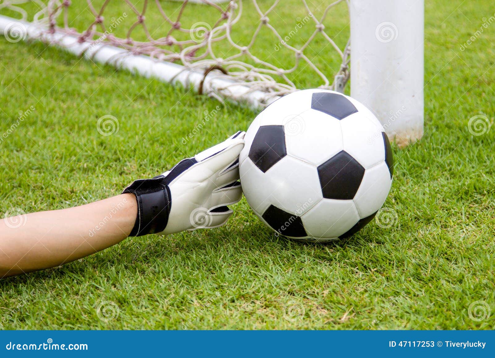 Football stock image. Image of green, person, sport, team - 47117253