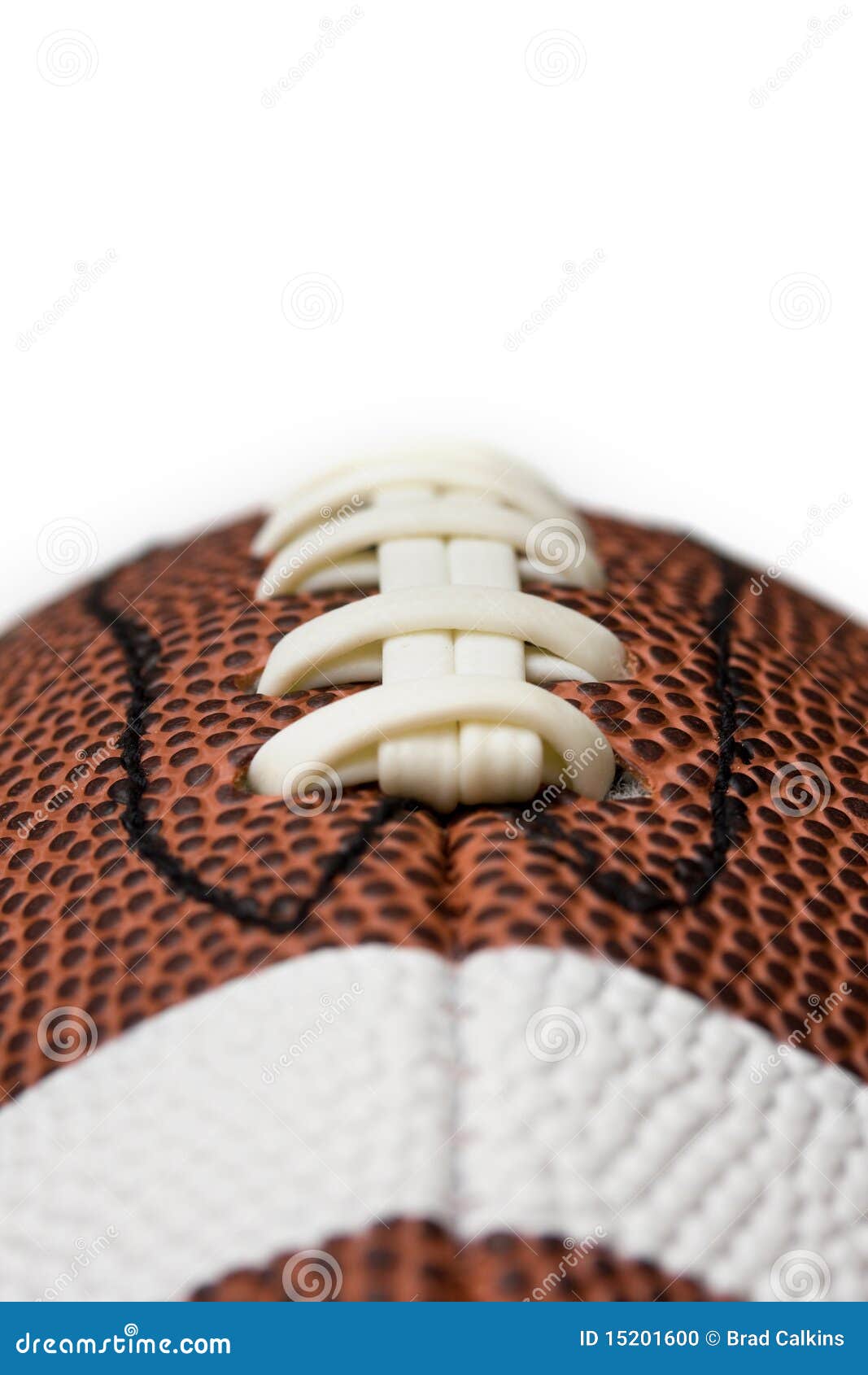 Football Laces On Grass Background Stock Photo | CartoonDealer.com ...