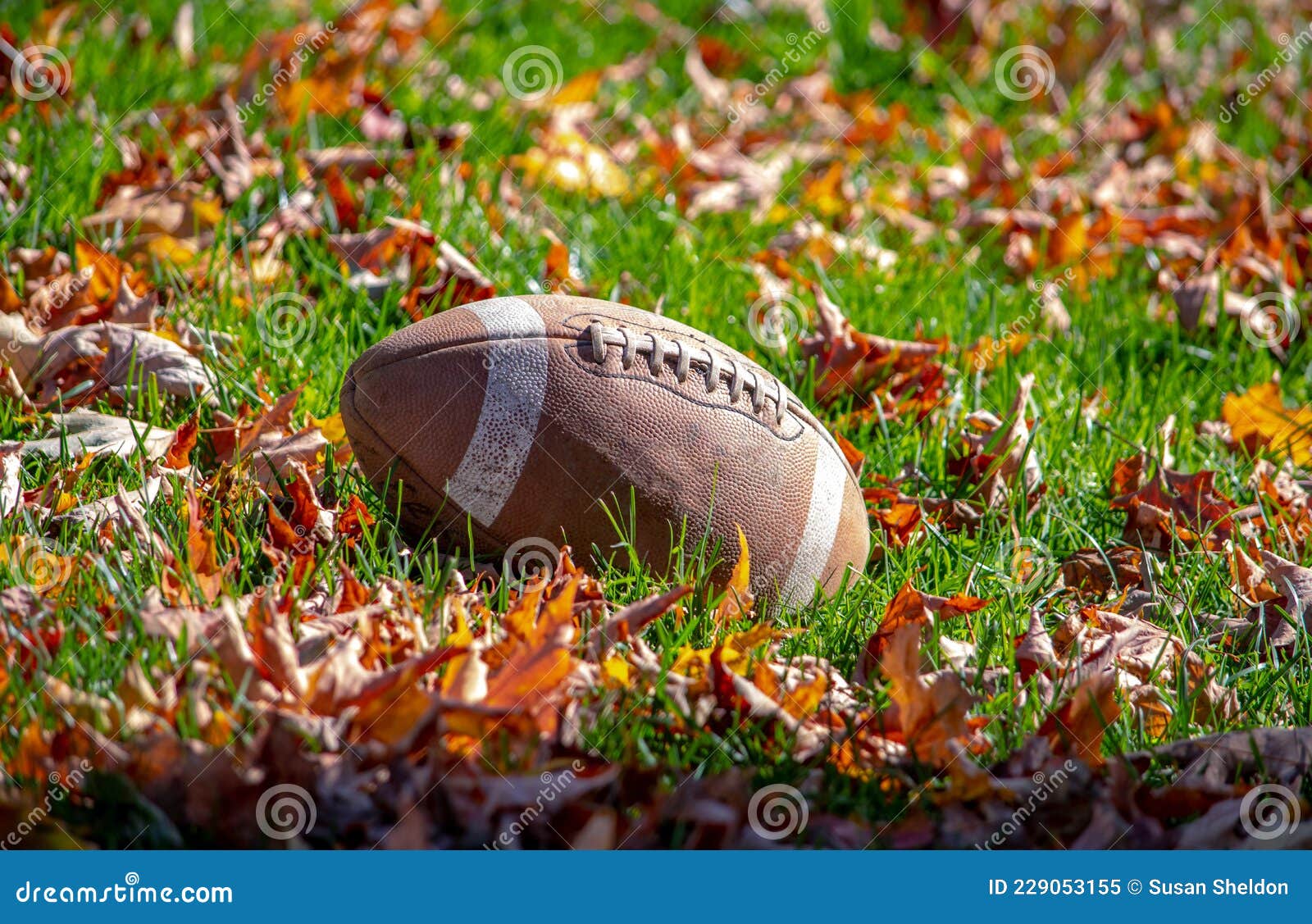 Football in the Leaves and Grass Stock Image - Image of mark, people ...