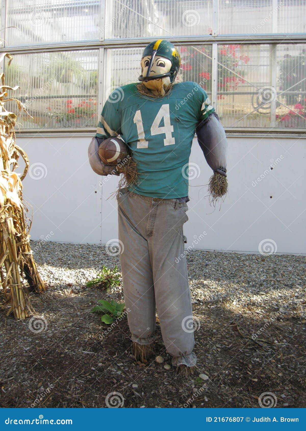 Football scarecrow stock image. Image of scarecrow, fall - 21676807