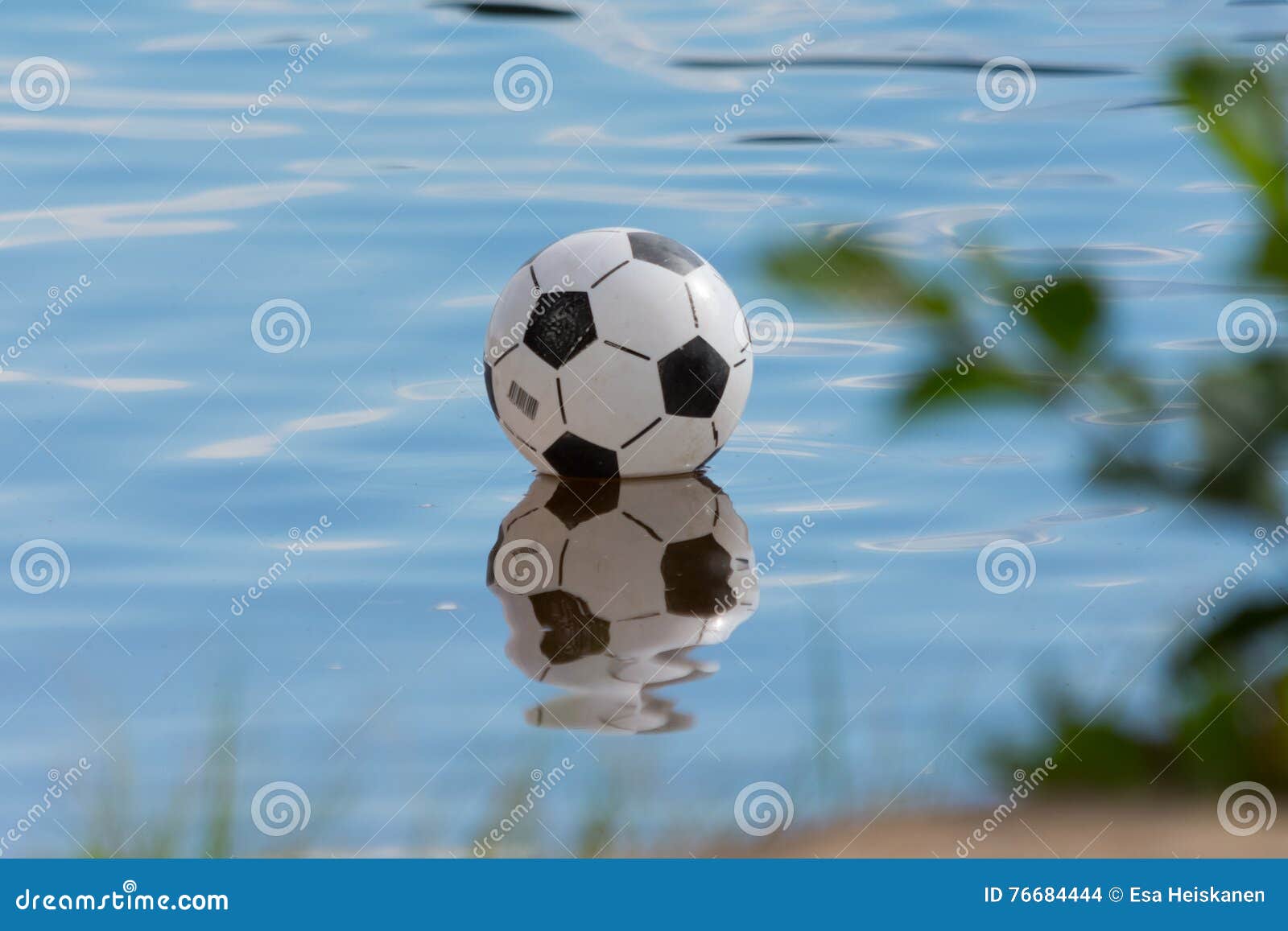 Castaway Ball Stock Photos - Free & Royalty-Free Stock Photos from ...