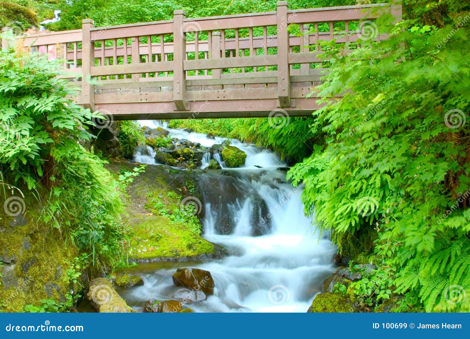 Footbridge stock image. Image of fern, flow, water, bridge - 100699