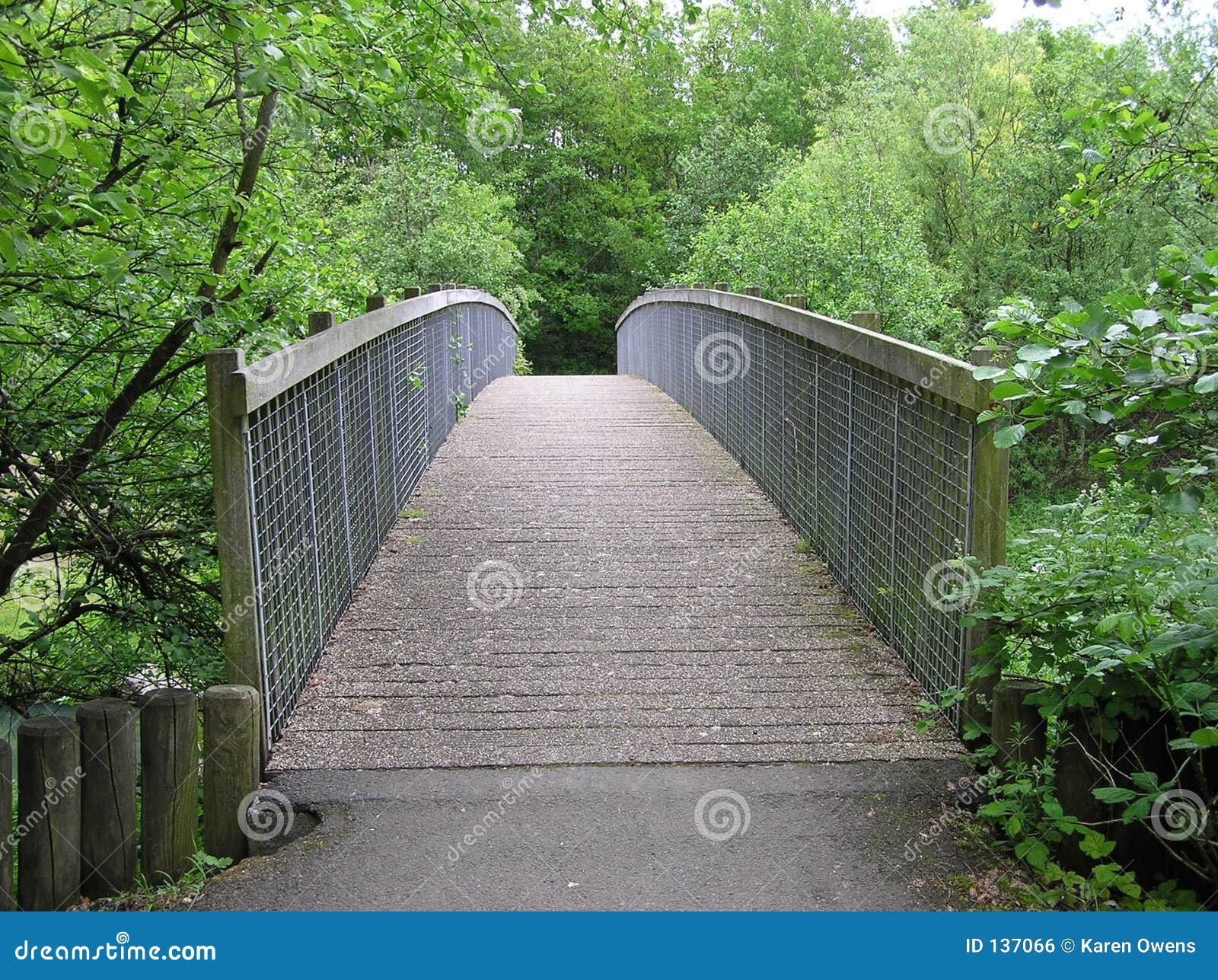 Footbridge stock photo. Image of bridge, walkway, crossover - 137066
