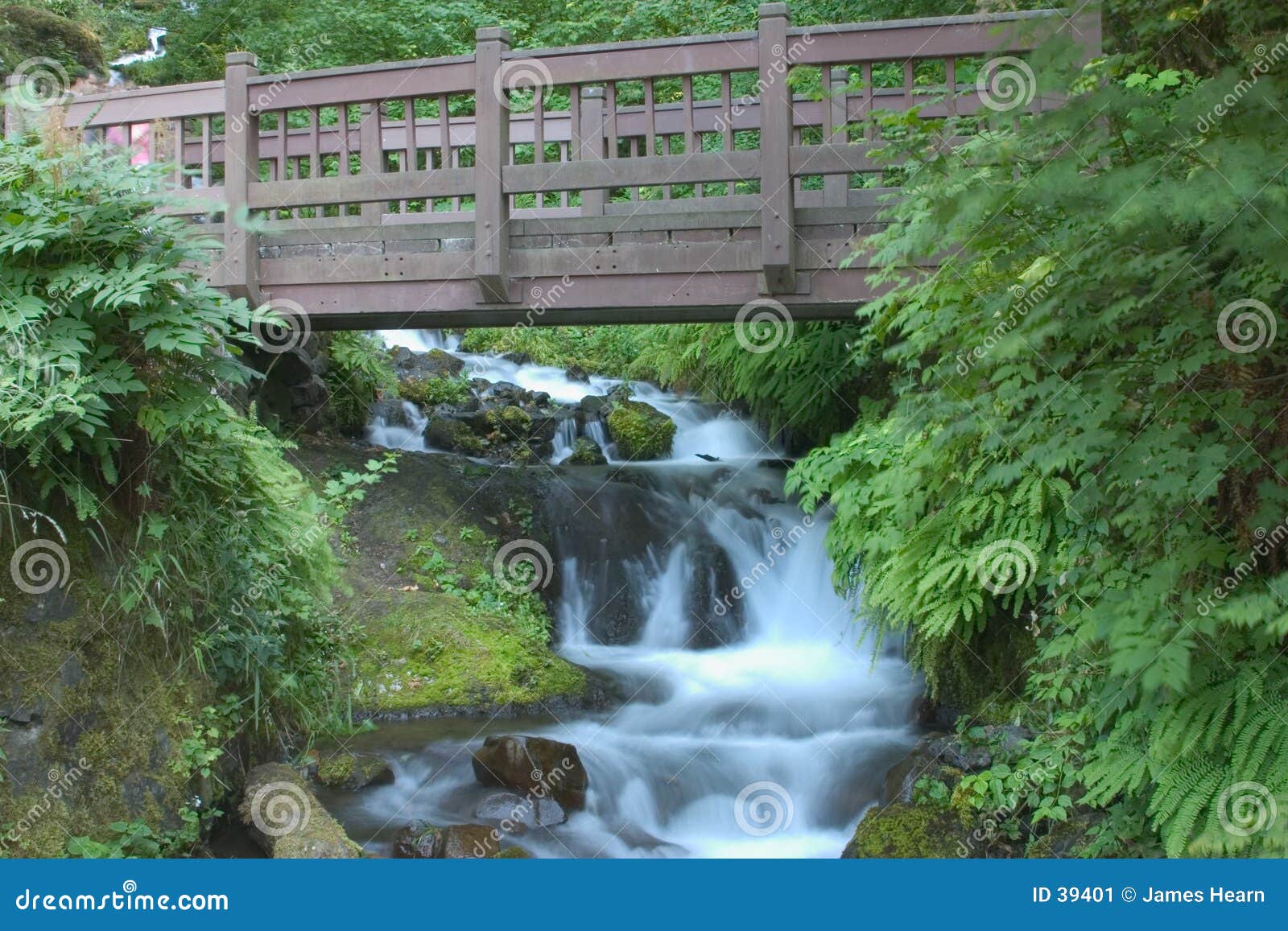Footbridge stock image. Image of lush, fall, flow, stream - 39401