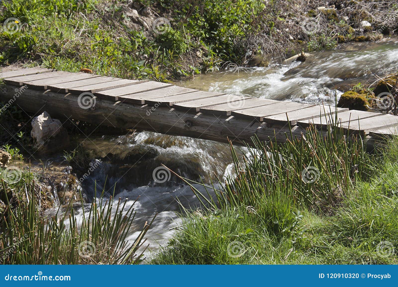 Footbridge stock photo. Image of natural, walk, village - 120910320