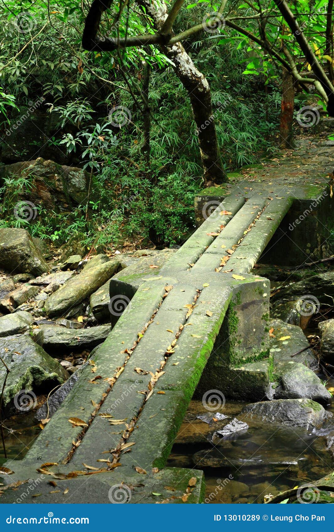 Footbridge in forest stock image. Image of line, garden - 13010289