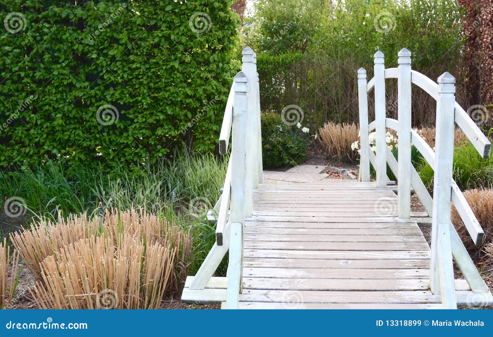 Footbridge in garden stock image. Image of landscaping - 13318899