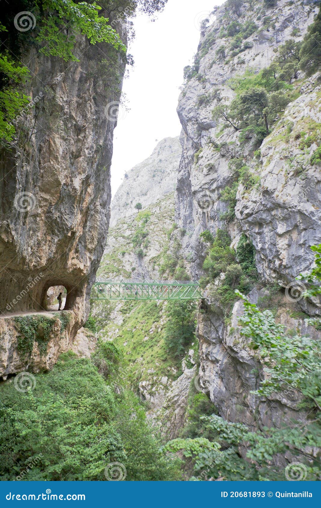 Footbridge at Gorge of River Cares Stock Image - Image of leon, defile ...