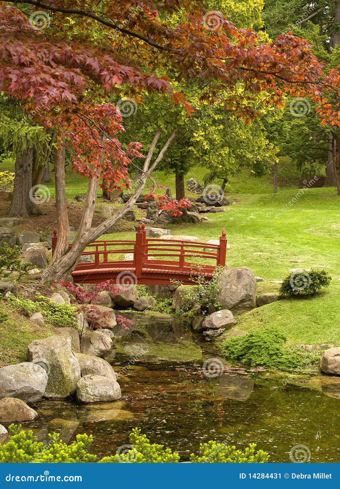 Footbridge in a Japanese Garden Stock Image - Image of footbridge ...