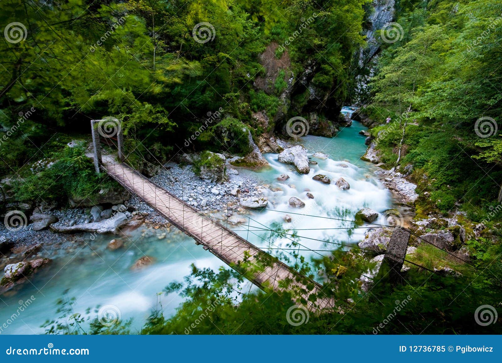 Footbridge over river stock image. Image of natural, path - 12736785