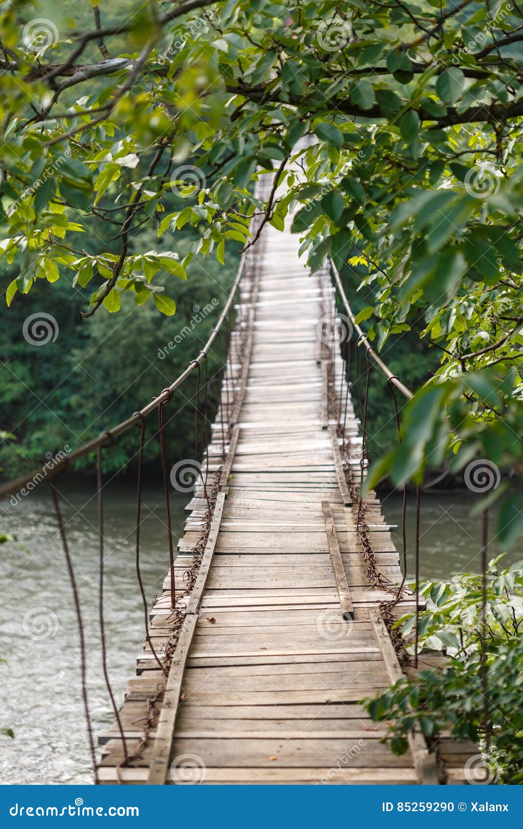 Footbridge over river stock photo. Image of bridge, hiking - 85259290