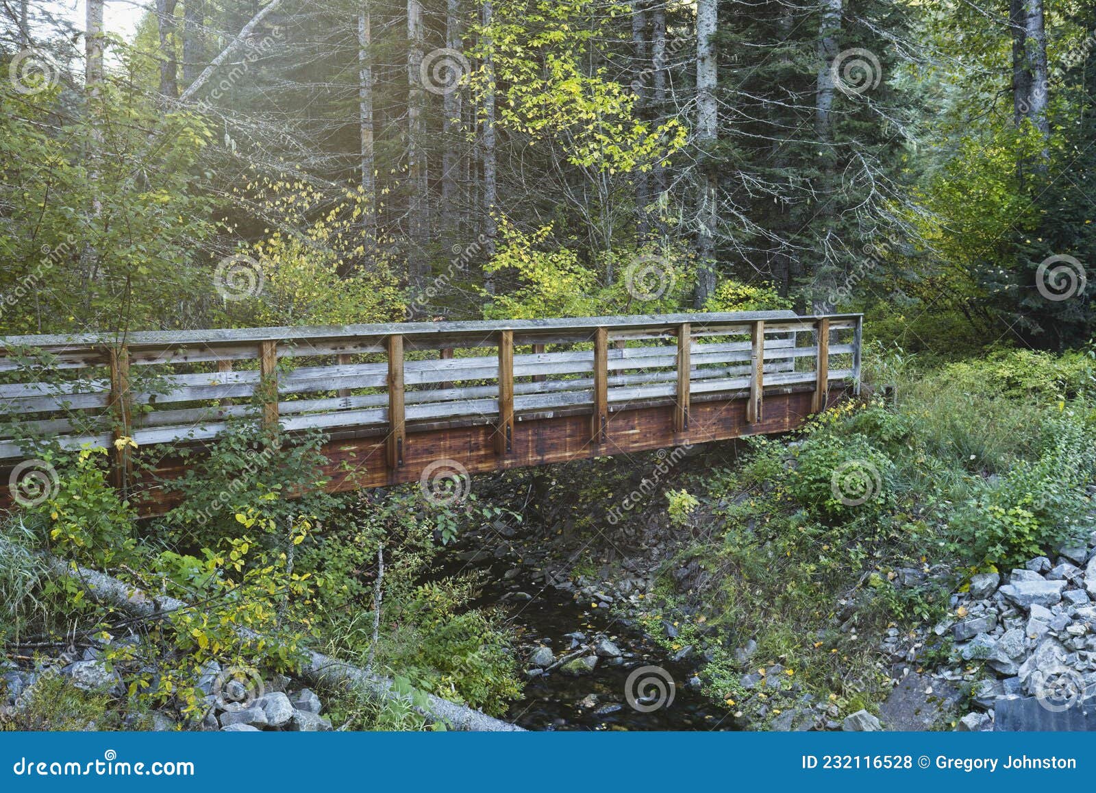 Footbridge Over a Stream in Idaho Stock Photo - Image of leaves ...