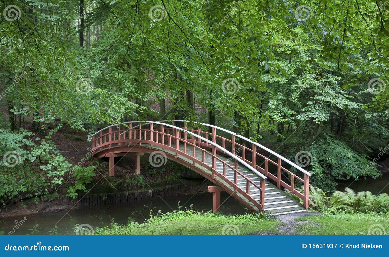 Footbridge in the park stock image. Image of stream, summertime - 15631937