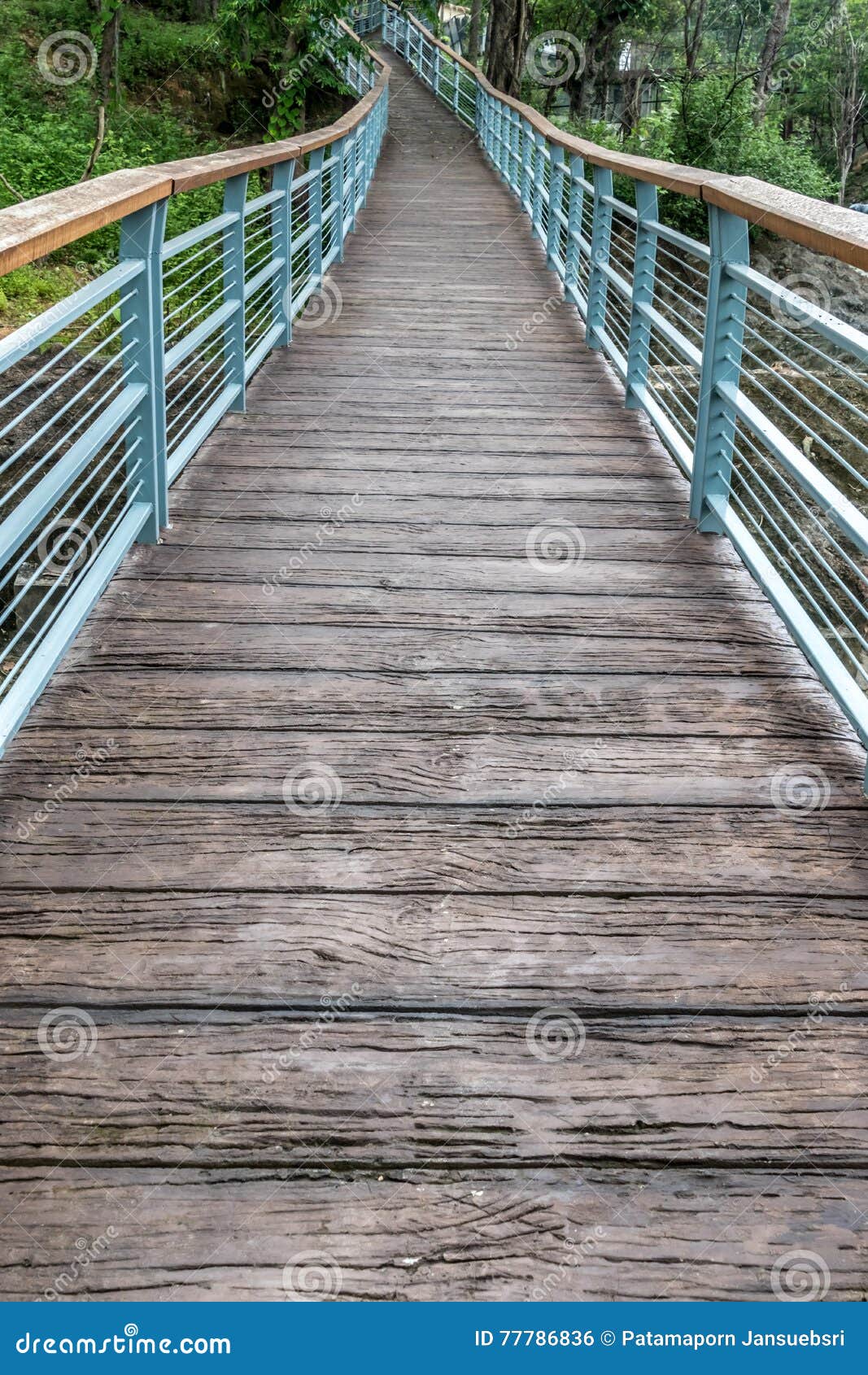 Footbridge in the park stock photo. Image of footbridge - 77786836