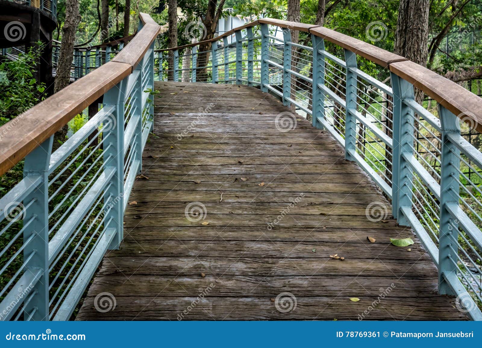 Footbridge in the park stock image. Image of path, bridge - 78769361