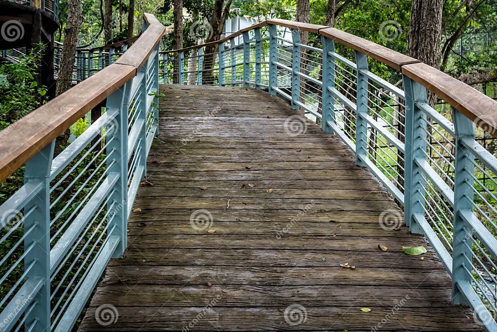 Footbridge in the park stock image. Image of path, bridge - 78769361