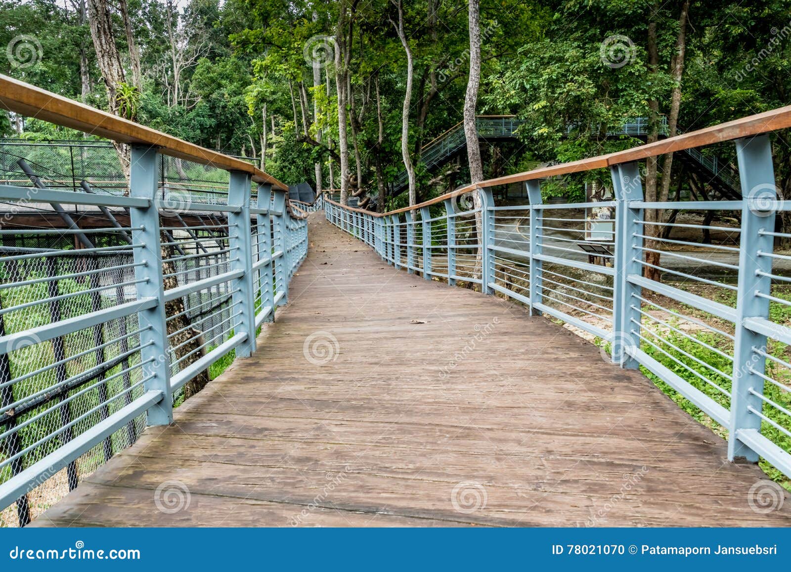 Footbridge in the park stock photo. Image of adventure - 78021070