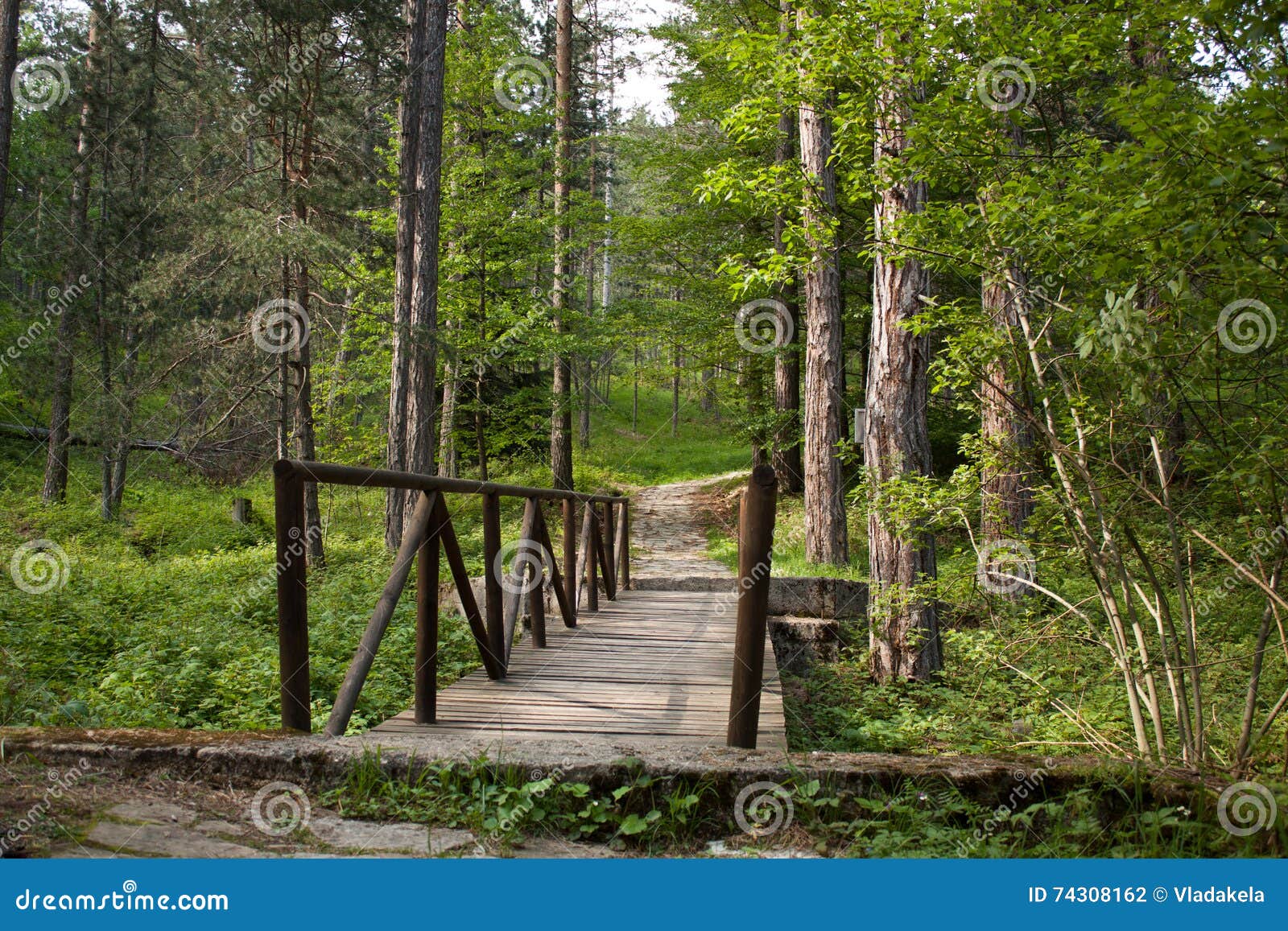 Footbridge in Park Green Forest Stock Photo - Image of landscape ...