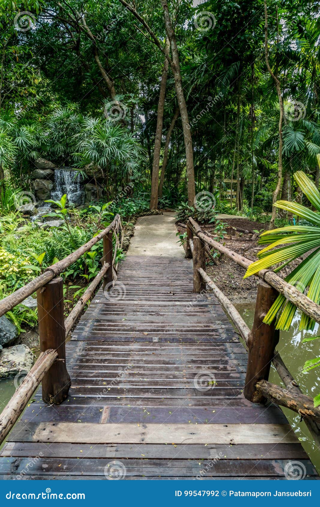 Footbridge in the park stock photo. Image of footbridge - 99547992
