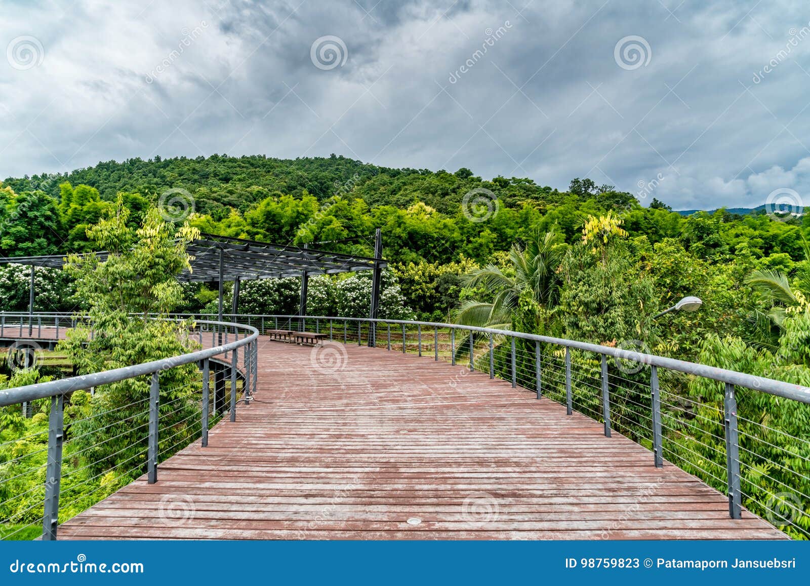 Footbridge in the park stock image. Image of wood, path - 98759823