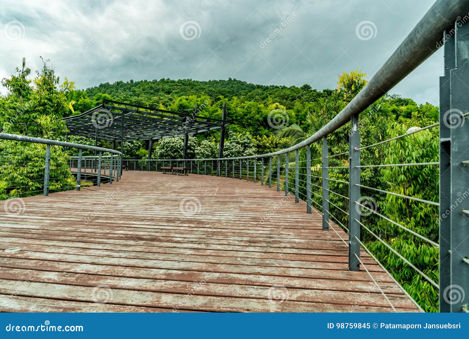 Footbridge in the park stock image. Image of wood, tourism - 98759845