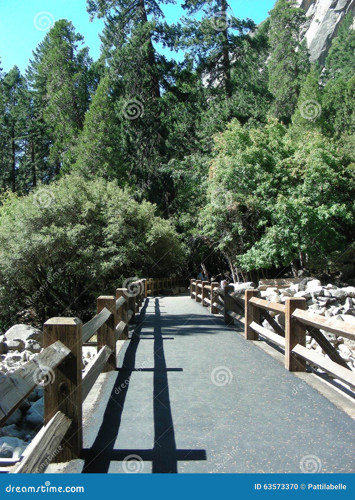 Footbridge on a Path in a National Park Stock Photo - Image of vivid ...