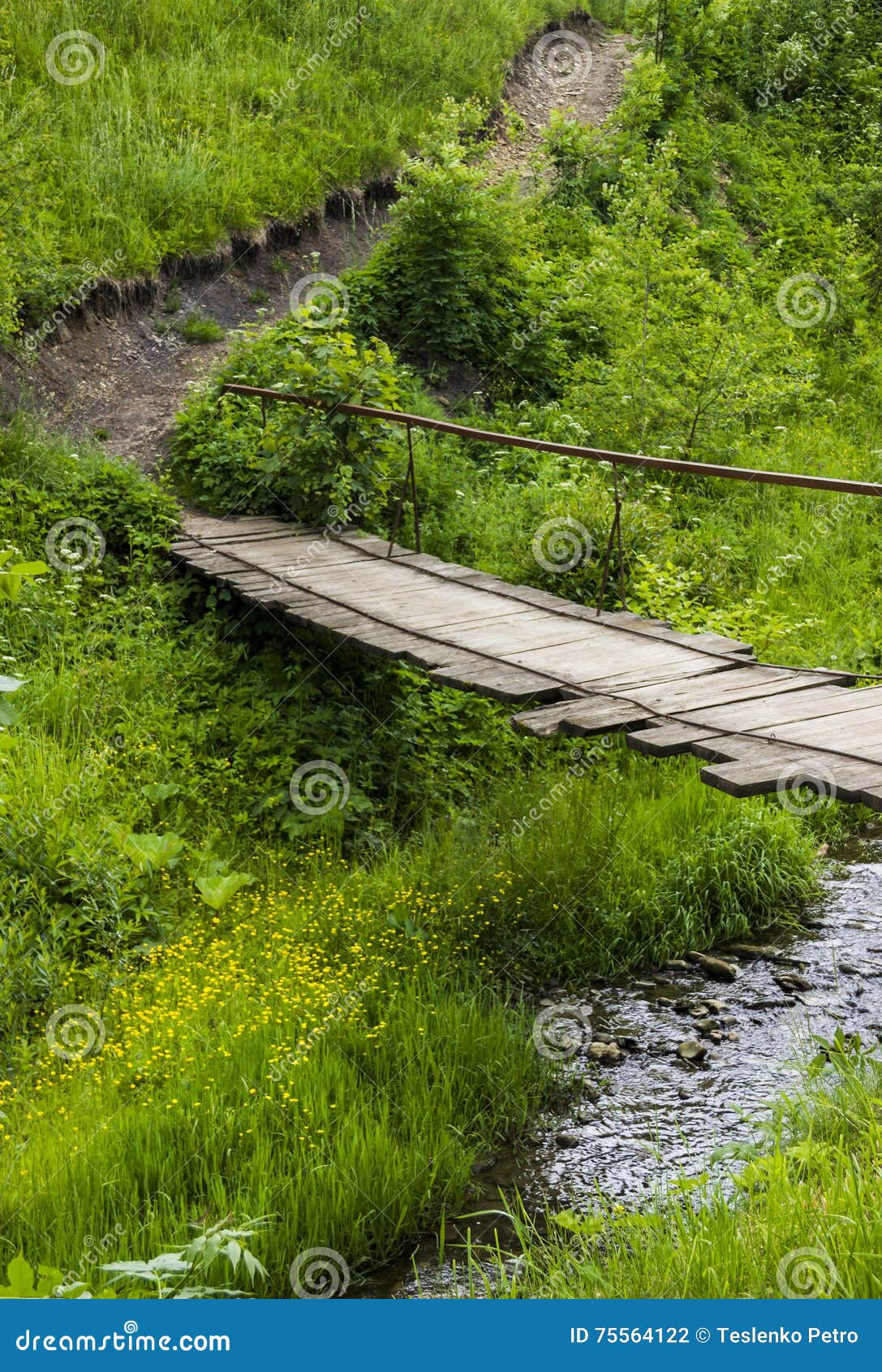 Footbridge stock photo. Image of tranquil, water, metal - 75564122