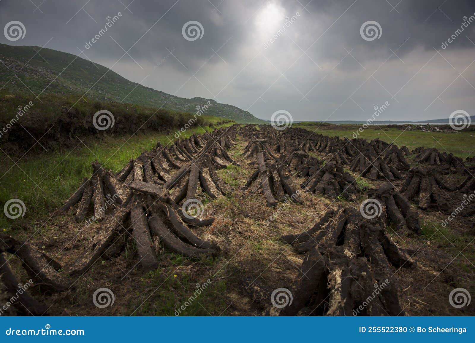 Footed turf stock photo. Image of easky, extraction - 255522380