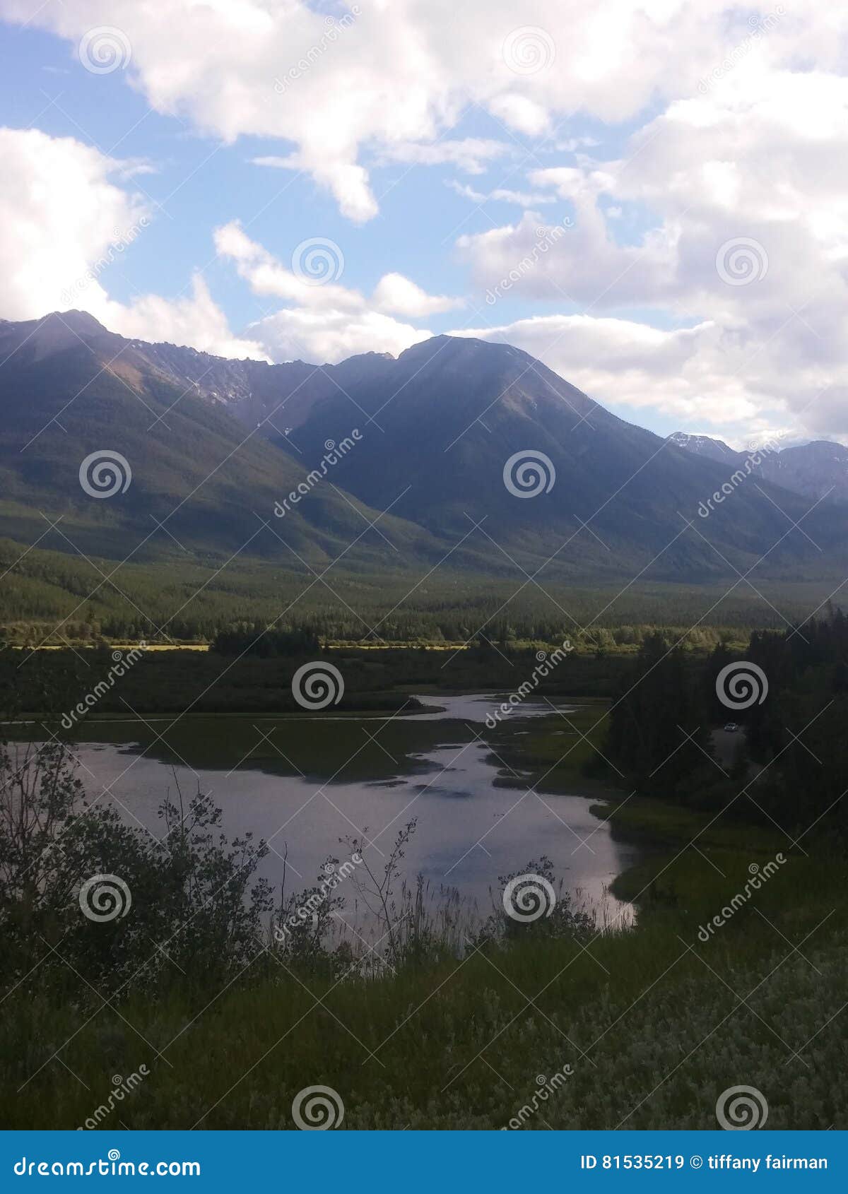 The foothills alberta stock image. Image of taking, foothills - 81535219